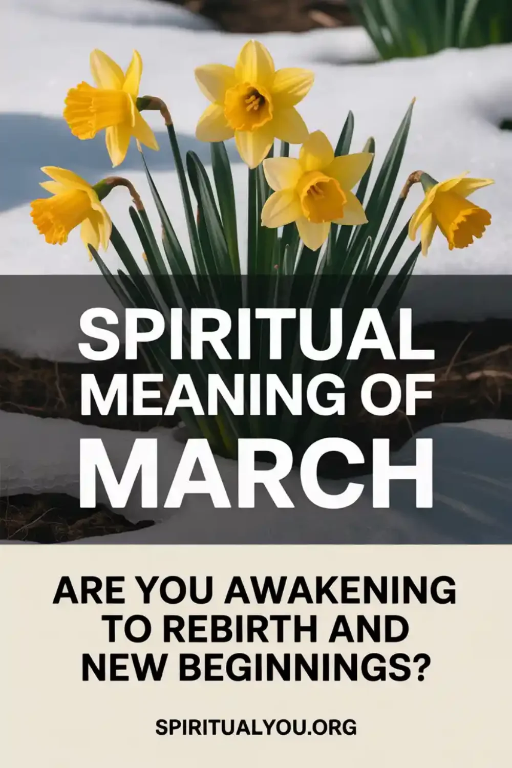 Spiritual Meaning And Symbolism Of March
