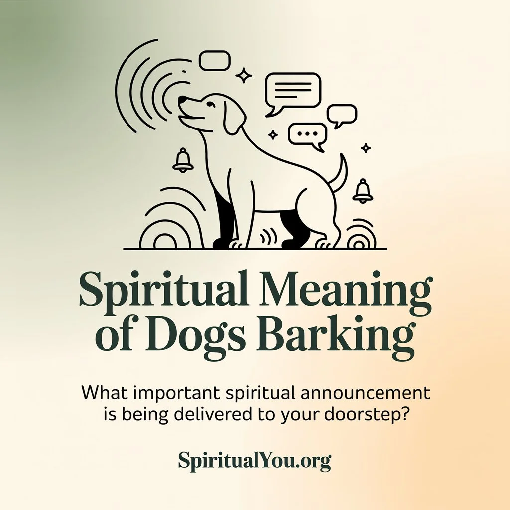 Spiritual Meaning Of Dogs Barking At Night (And Day)